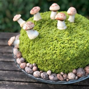 Moss Cake with Woodland Grapefruit Buttercream | Fikabröd