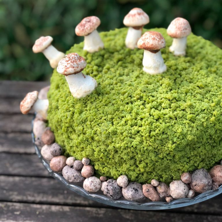 Moss Cake with Woodland Grapefruit Buttercream | Fikabröd