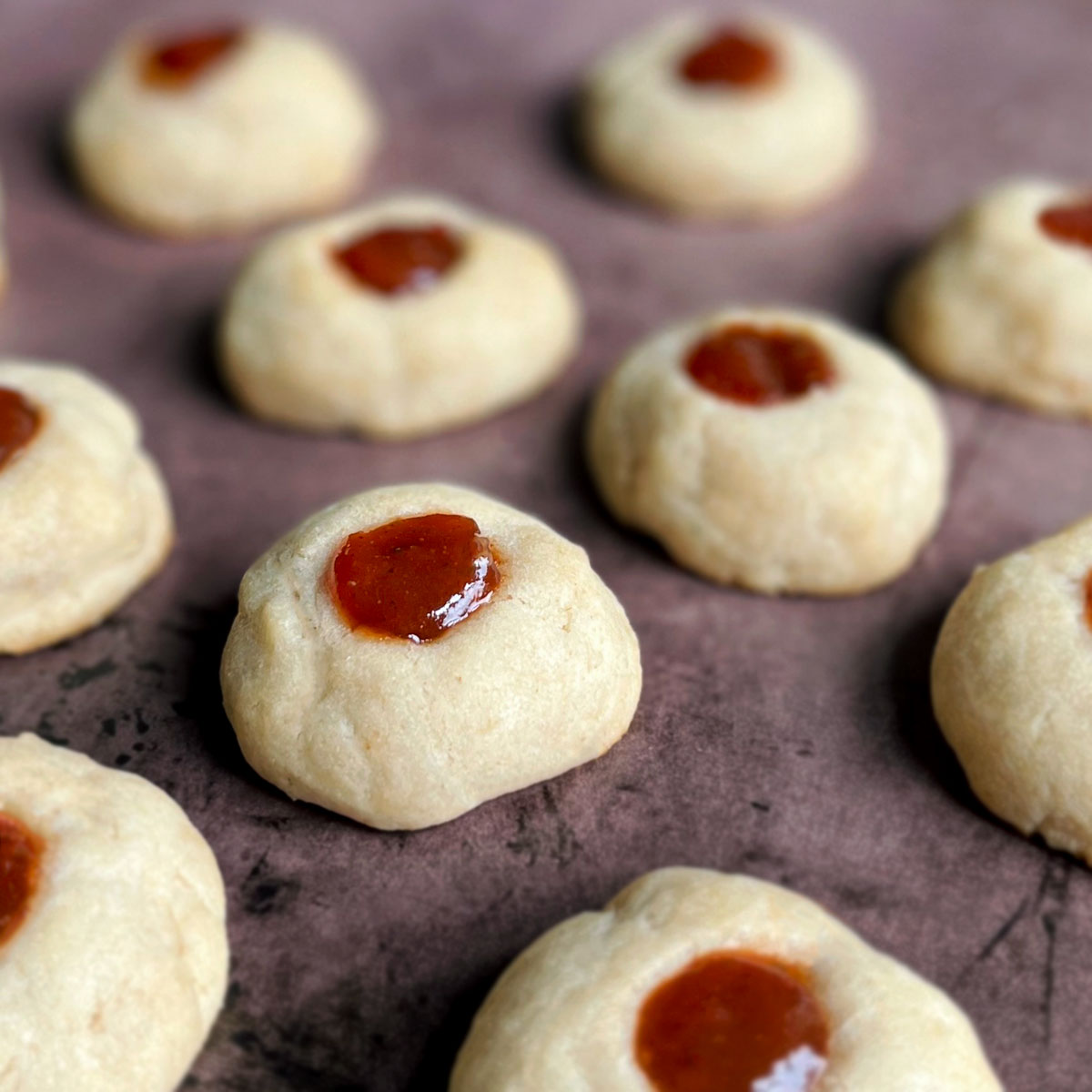 Goat Cheese & Tomato Jam Snacking Cookies | Fikabröd
